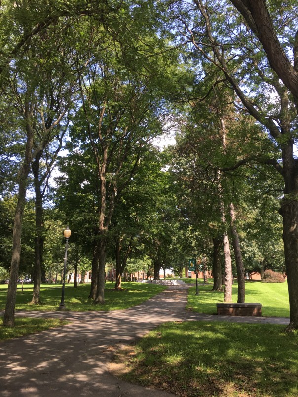 Siena College | Stacey C Dearing